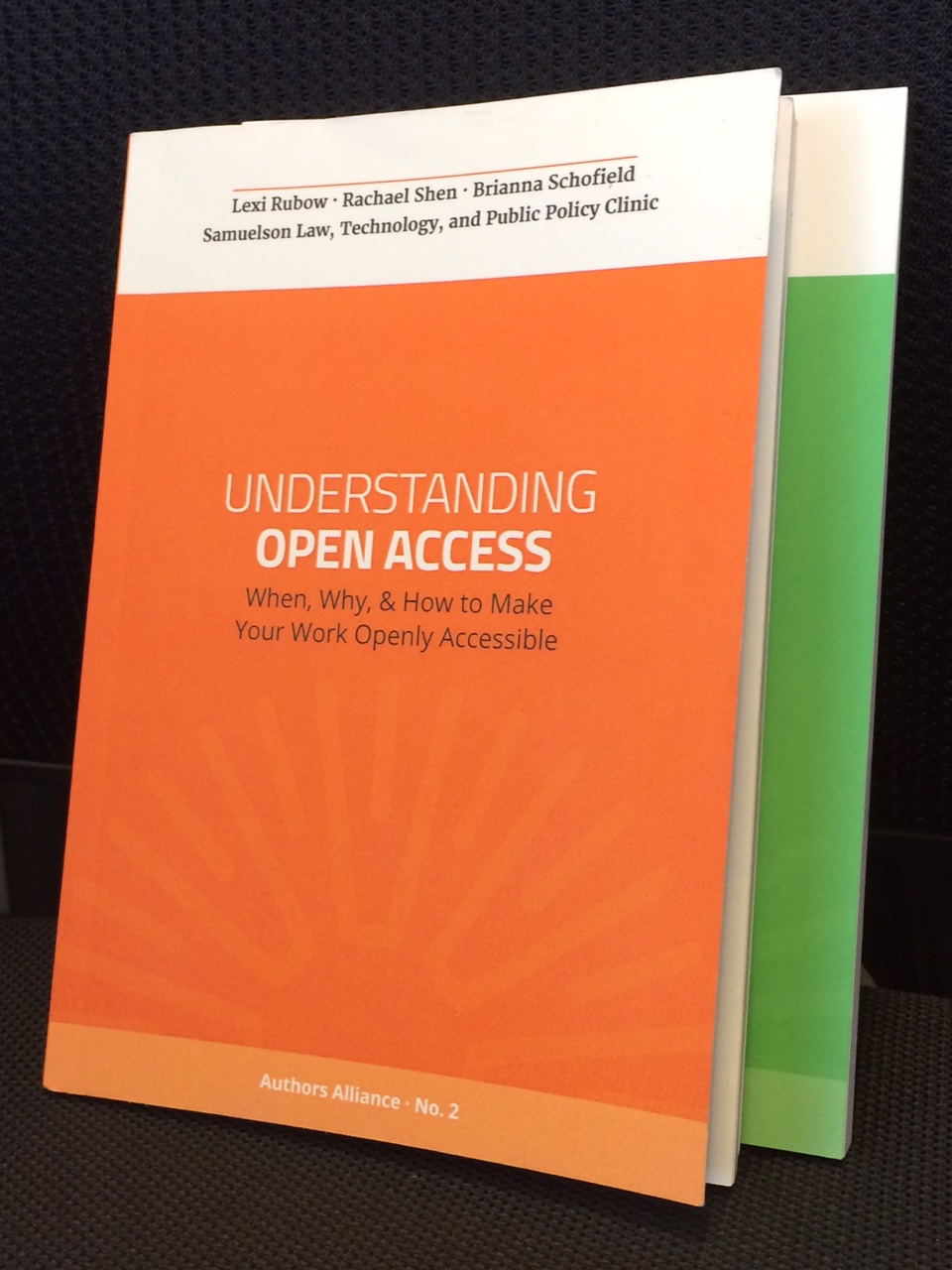 Understanding Open Access: Now in Print – Authors Alliance